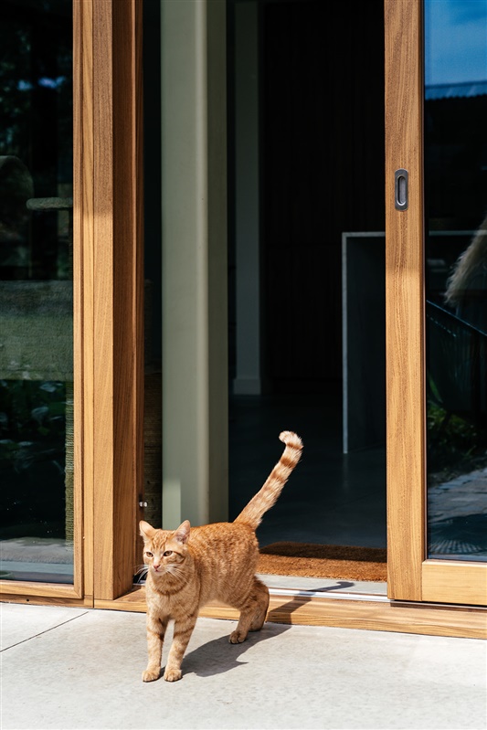 Waarom kiezen voor houten ramen? Ontdek alle voordelen